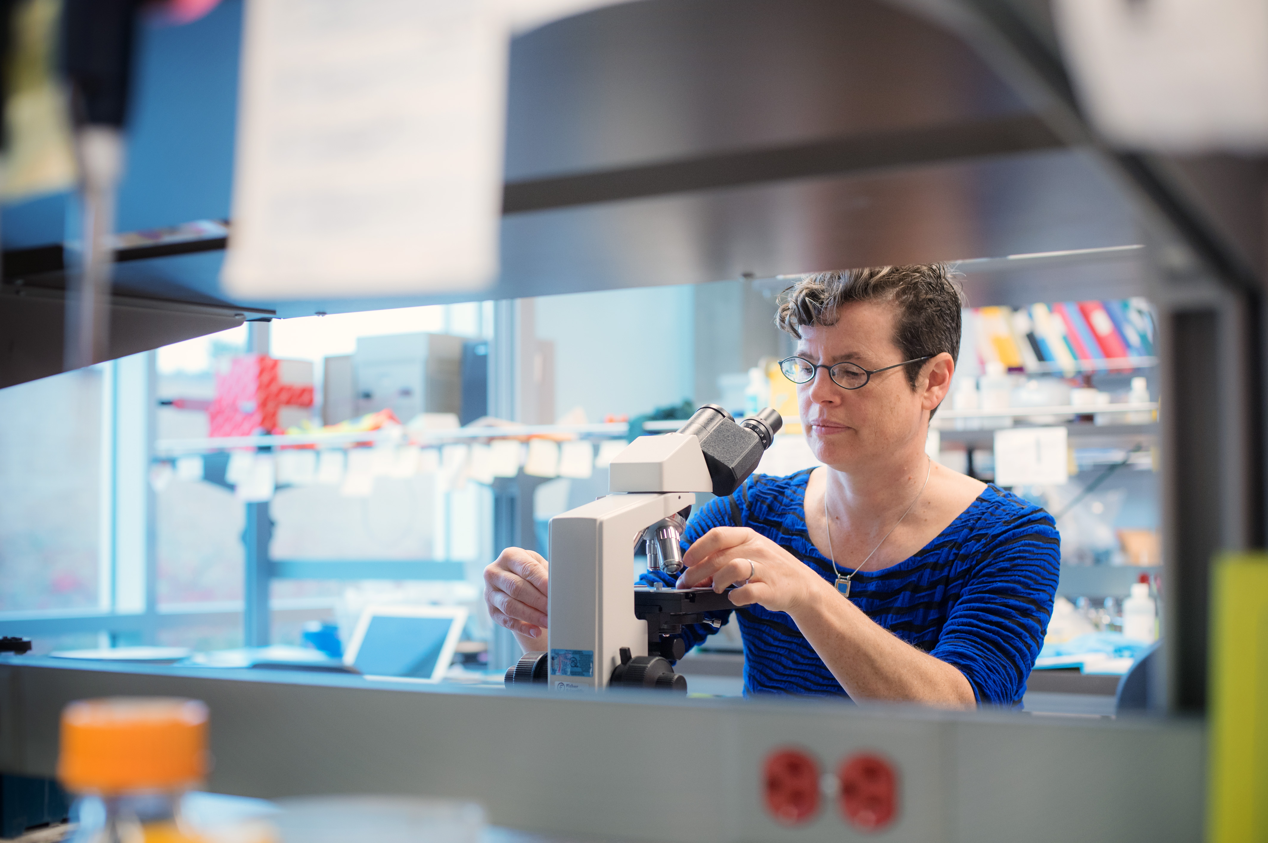 Dr. Sally Otto elected to American Academy of Arts and Sciences | UBC ...