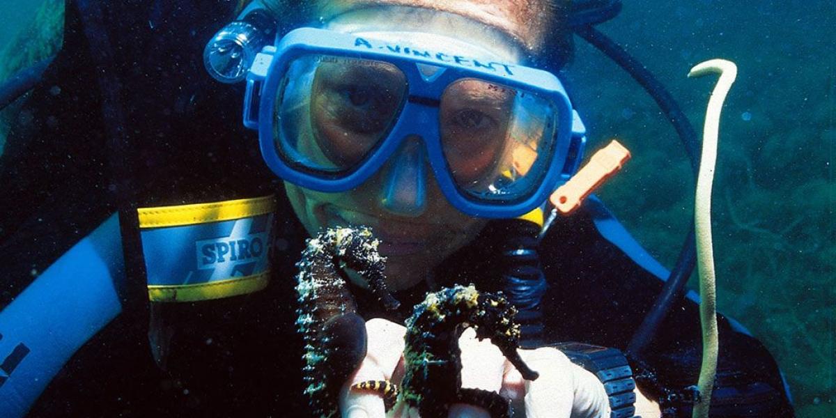 UBC seahorse expert wins world’s top animal conservation award | UBC ...